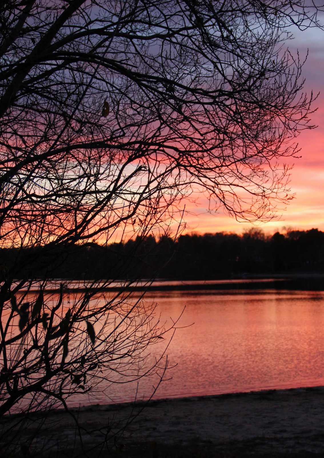 Portraits and Landscapes