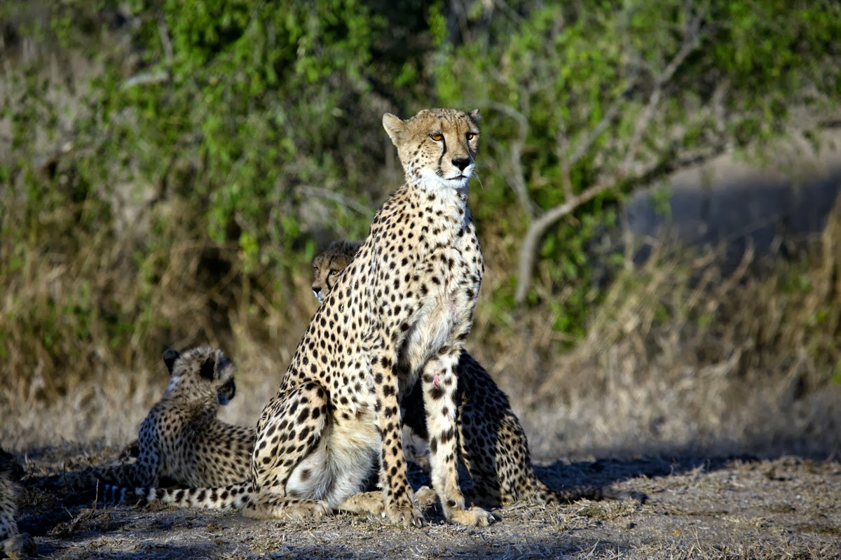 The f8 Group: Photography and Occasional Commentary: Collective Nouns