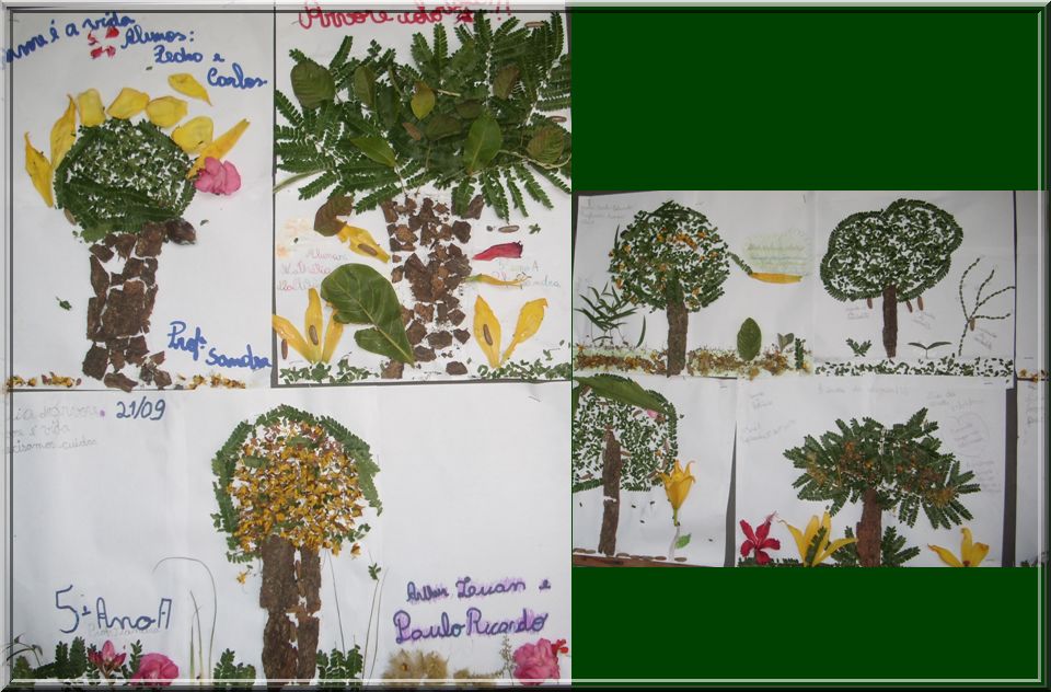 Biblioteca escolar do JK: Projeto dia da árvore no JK