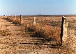 THE WESTERNER: How limestone became a necessity throughout the plains