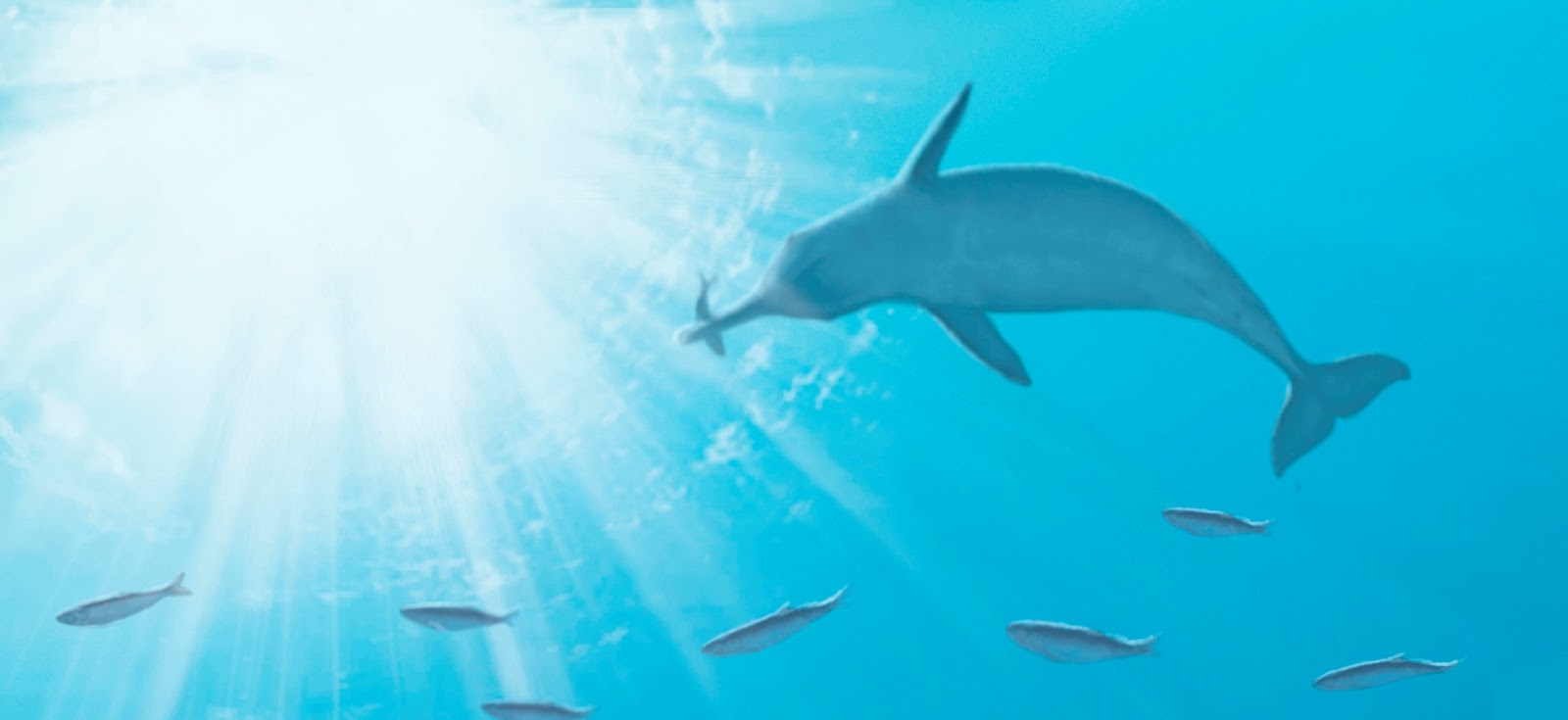 Species New to Science: [PaleoMammalogy • 2016] Echovenator sandersi ...