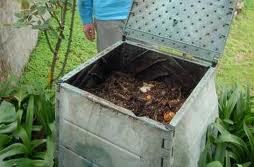 La regadera verde: Cómo hacer compost