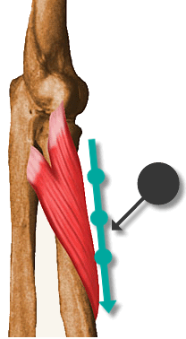 Science First ( علاج طبيعي )