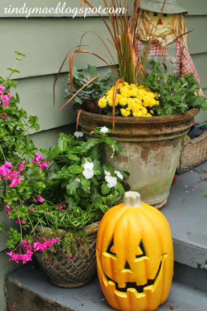 Rindy Mae: The Third Week Of October In The Front Yard