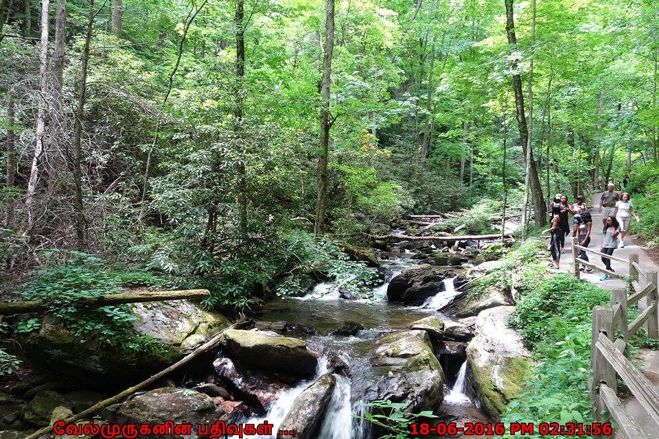 Anna Ruby Falls Trail - Exploring My Life