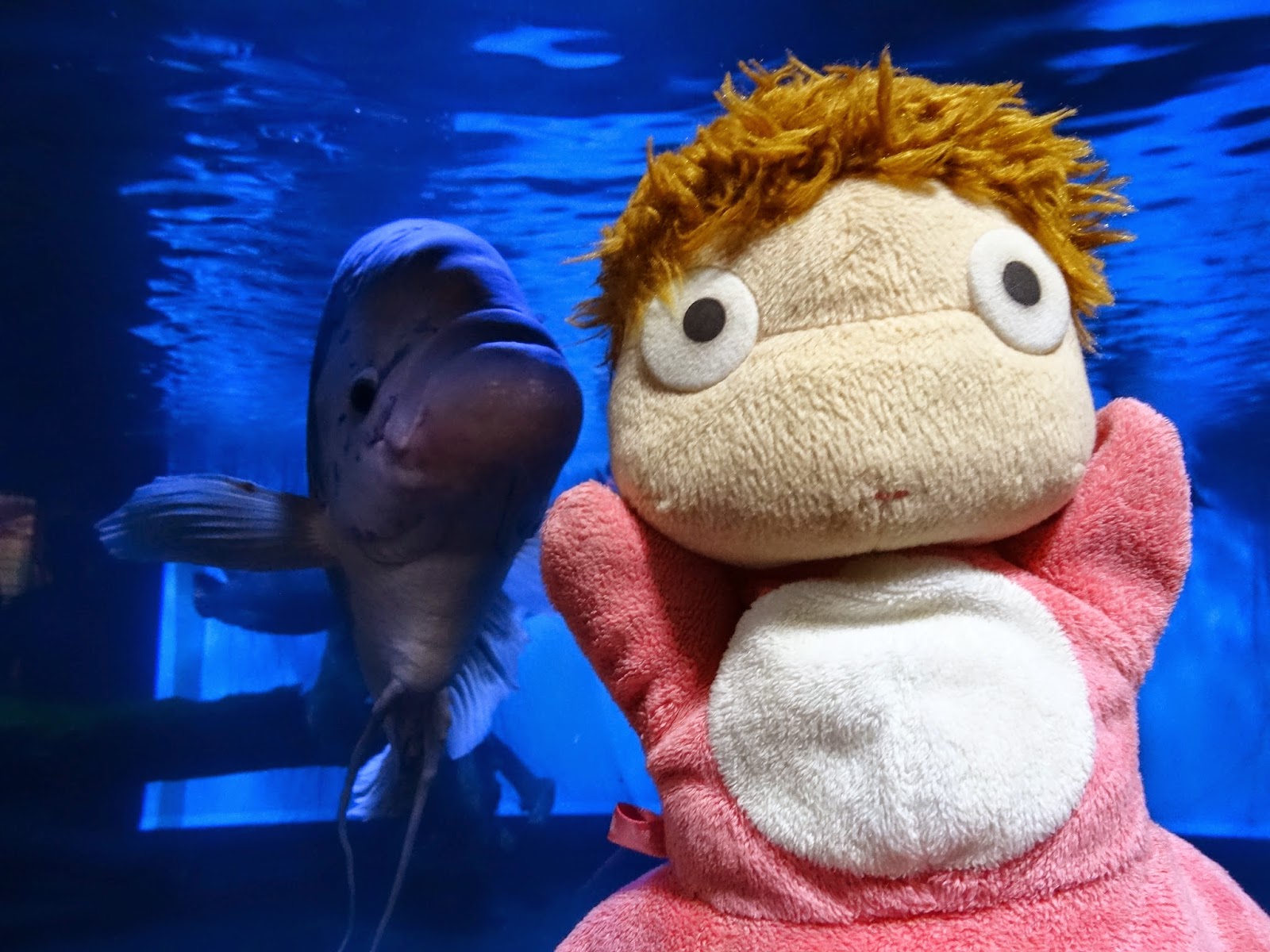 WEBS OF SIGNIFICANCE: Pupper Ponyo and friends at the COEX Aquarium!