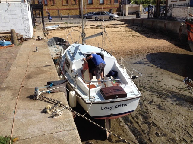 Bill's Log: Snapdragon 26