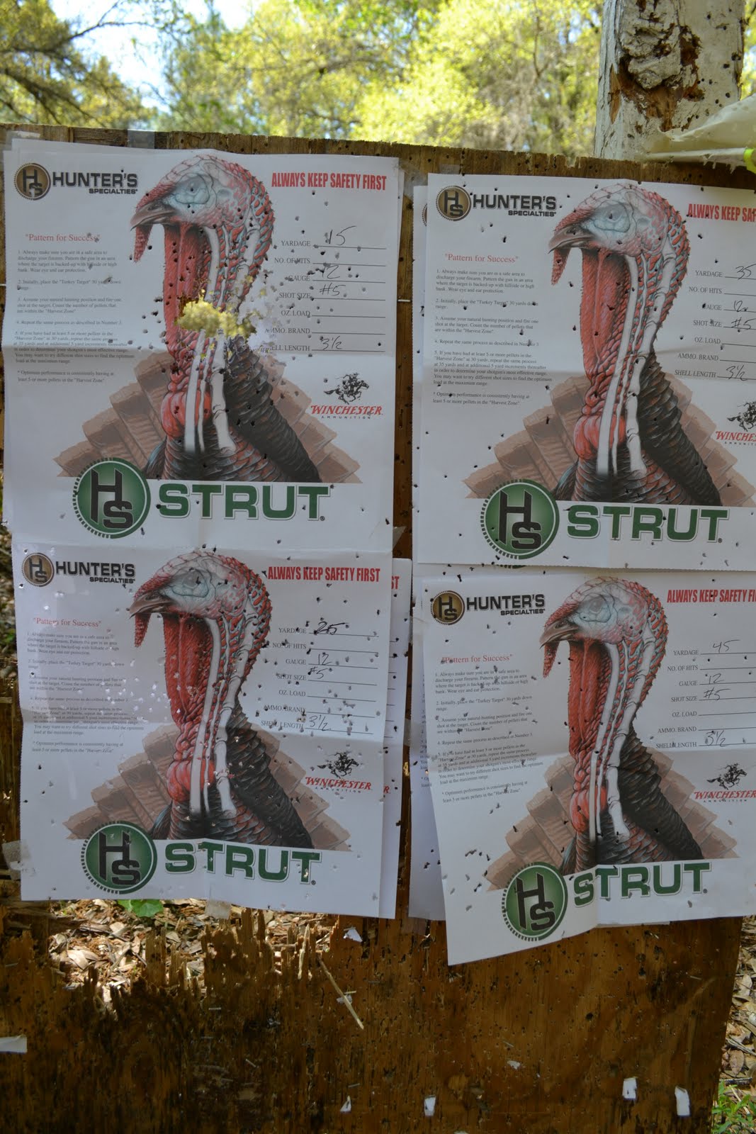 The Wild Life: Patterning Your Turkey Rig