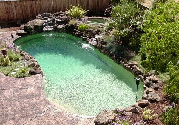 Best 19 Swimming Pool Designs With Kidney Shape | Houzz Home