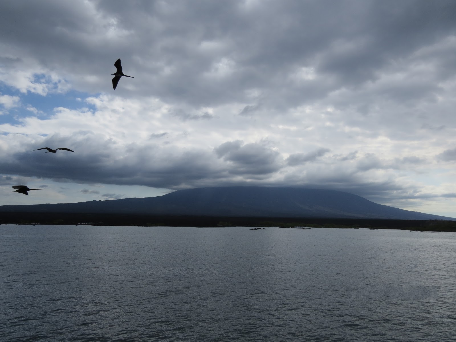 Travel Preparation for Galapagos Islands - Galápagos Eco Friendly: The Blog