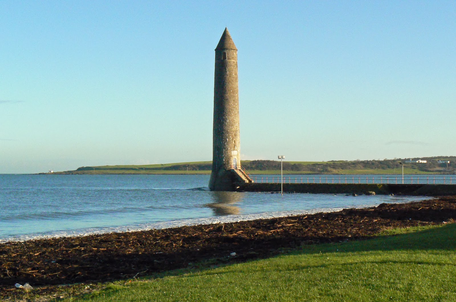 Patch Birding Ireland: Larne Lough