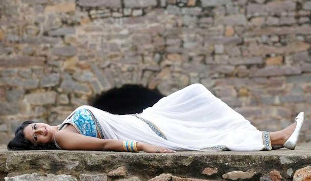 Celeb Saree ..: Erotic Actress Vimala Raman Sleeping On Rock saree Stills
