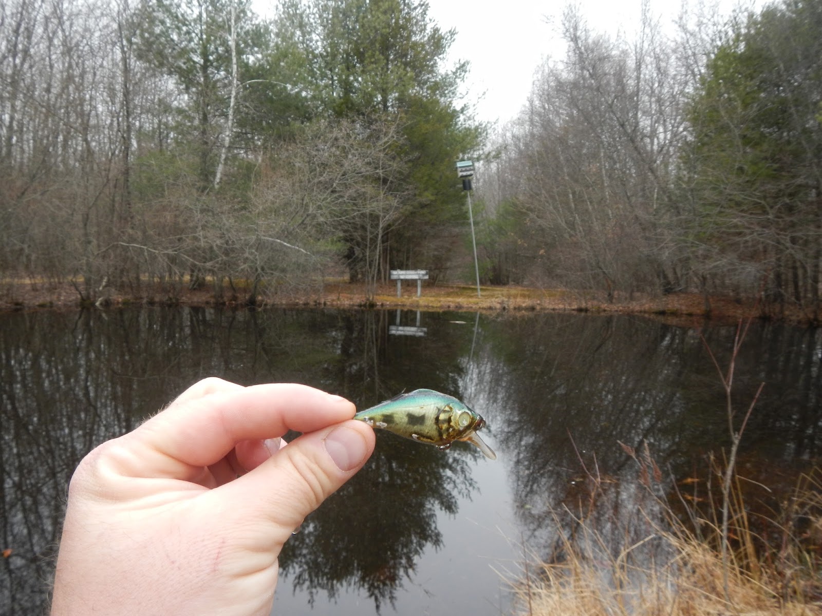 Taking Out the Trash in Eastern PA: Bear Swamp and Lake Minsi (27-Feb-2017)
