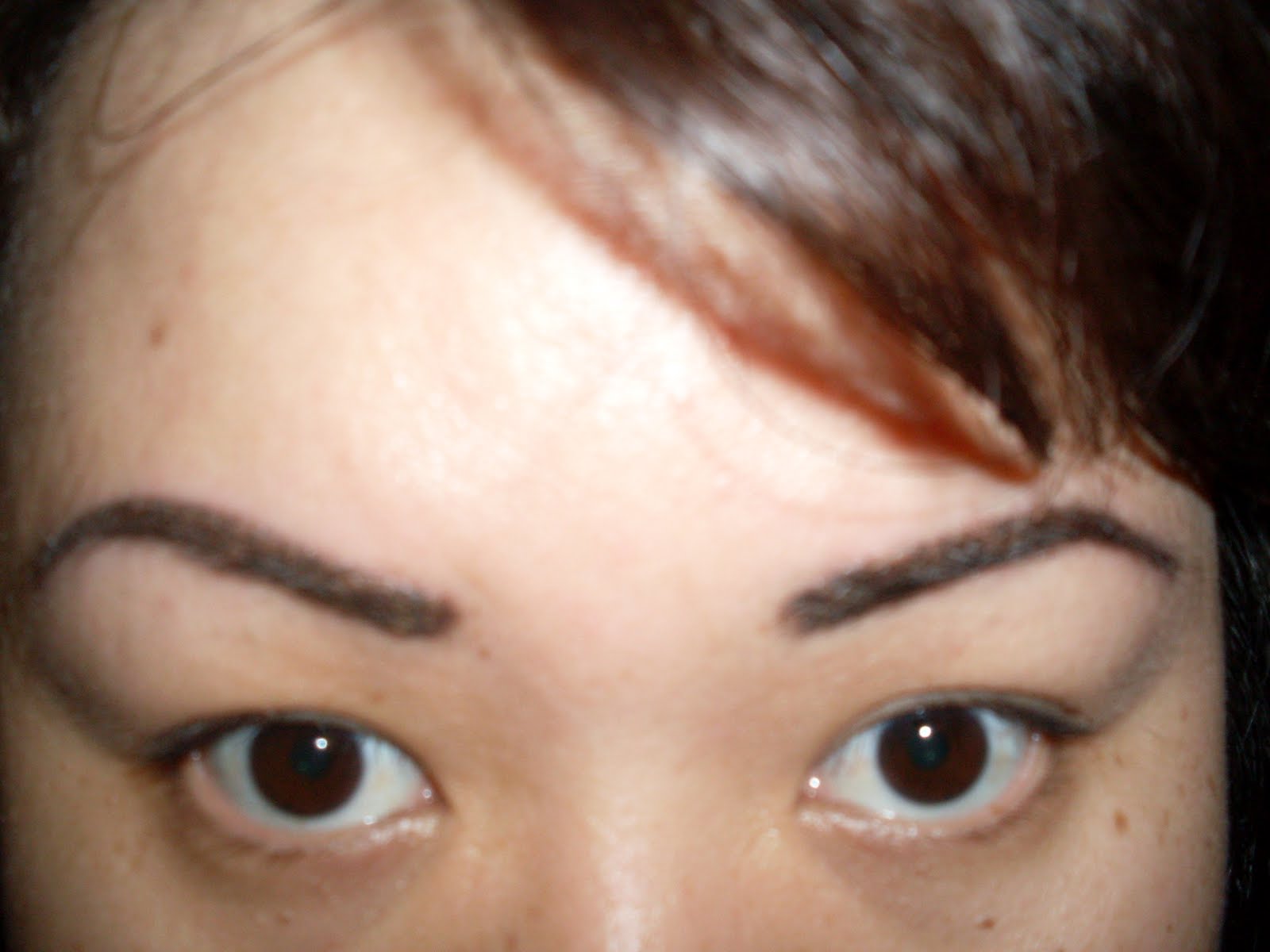 Sue's Sanctuary: Part 2: Brow Raising Experience - My Adventure of a 2 ...