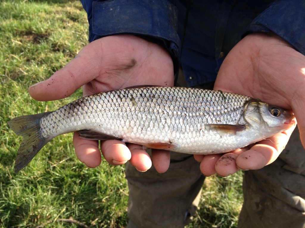 Danny's Angling Blog: Gallery/PB's