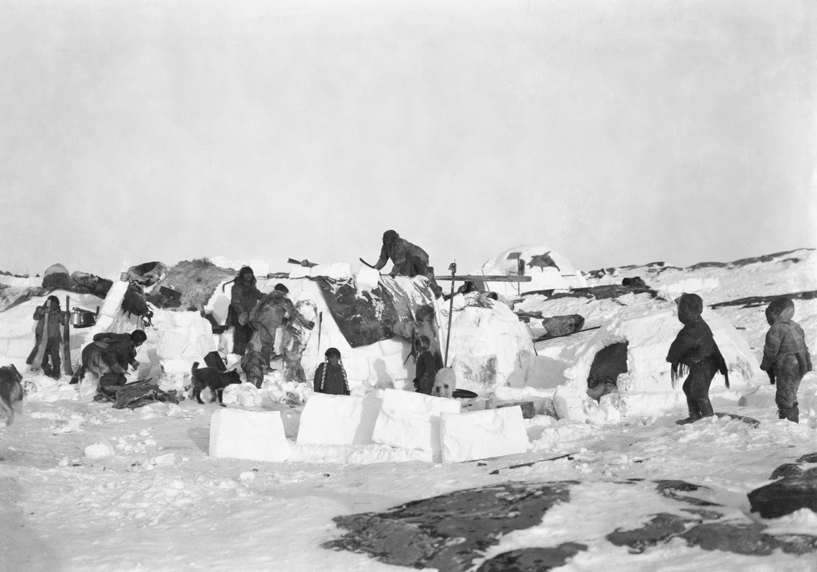 Rare Vintage Photographs of the Inuit People in Canada's Frozen North ...