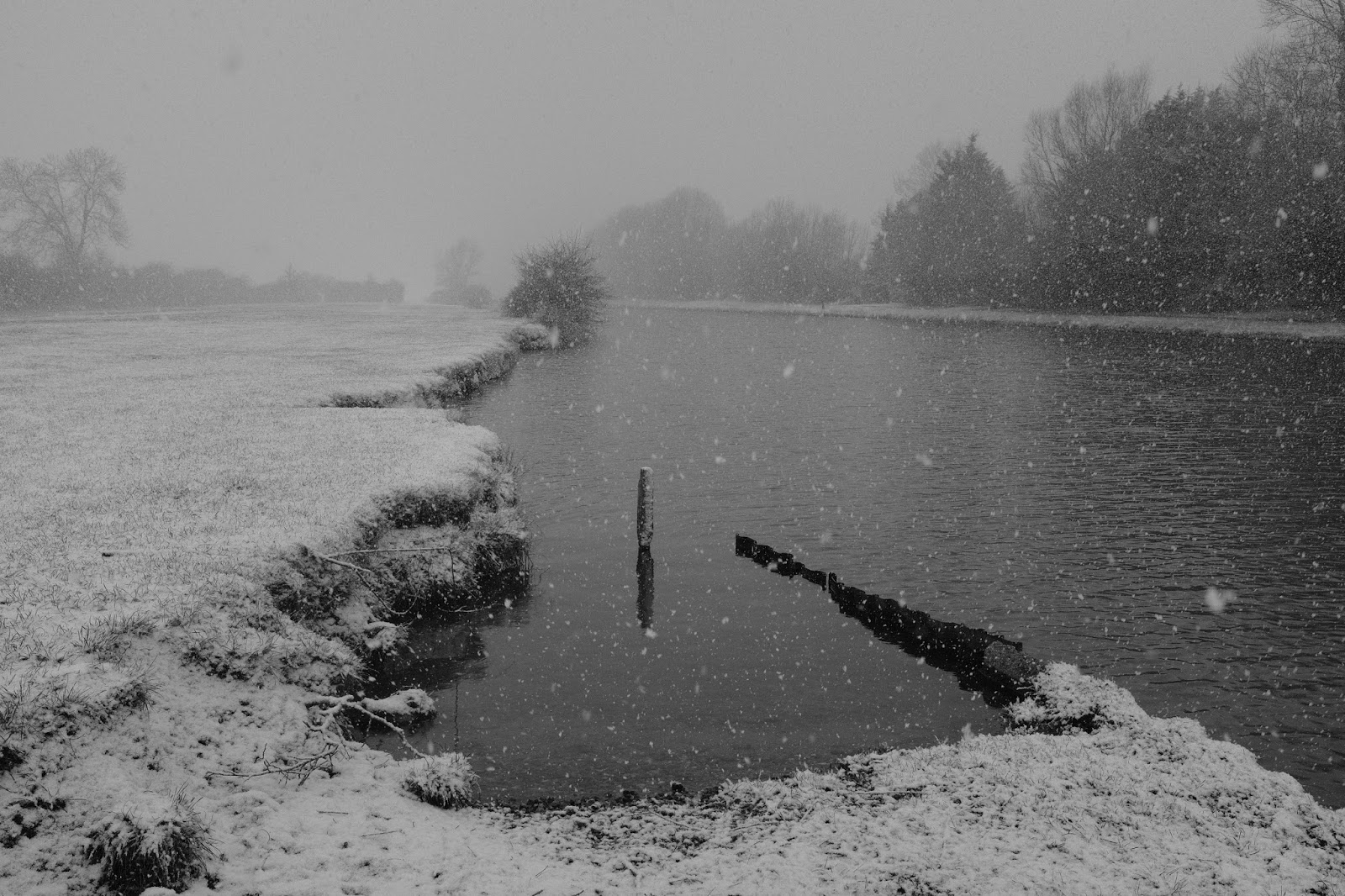 A walk along the River Cam from Cambridge to Fen Ditton and back in the ...