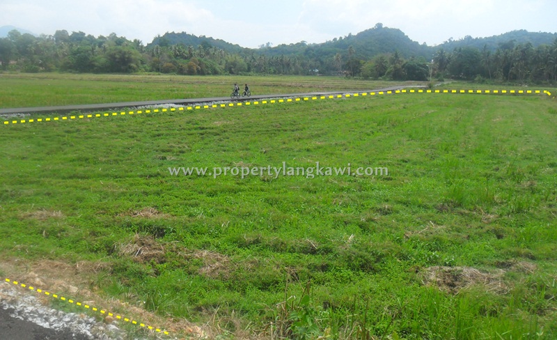 Tanah Dan Rumah Untuk Di Jual Di Langkawi: Tanah Bendang untuk dijual ...