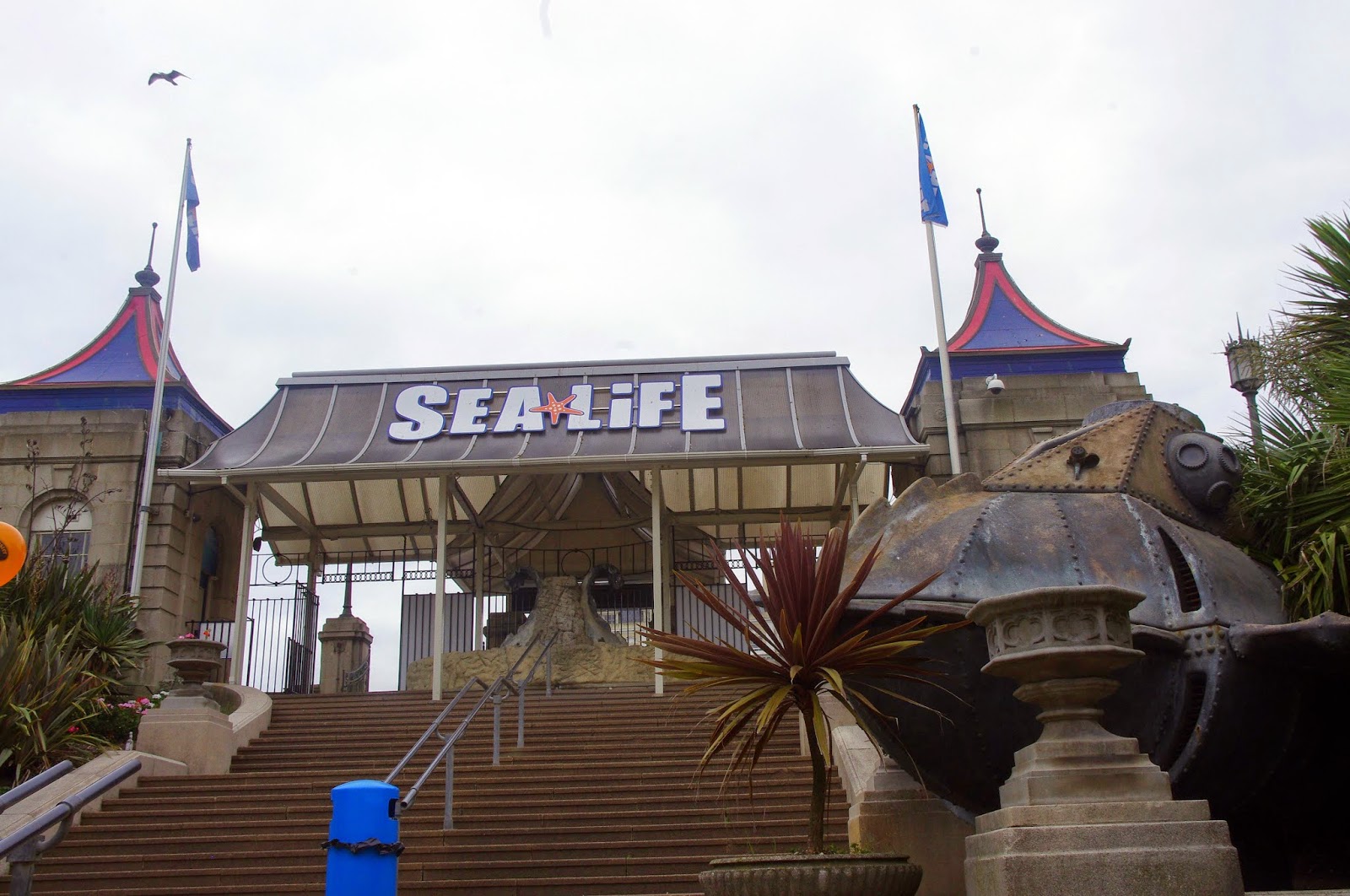 A Visit to Brighton's Sea Life Centre - The Aussie Flashpacker