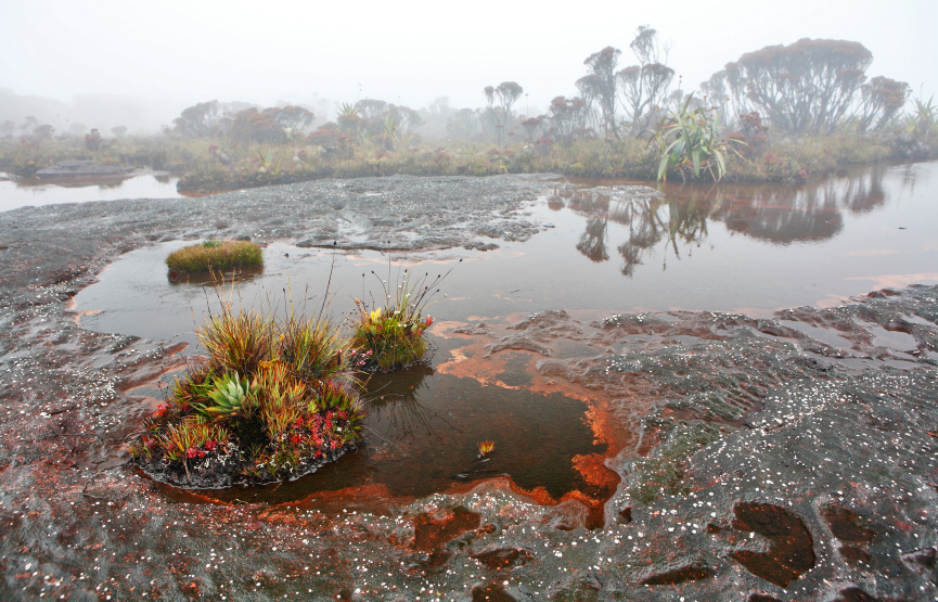 Explore Majestic Mount Roraima
