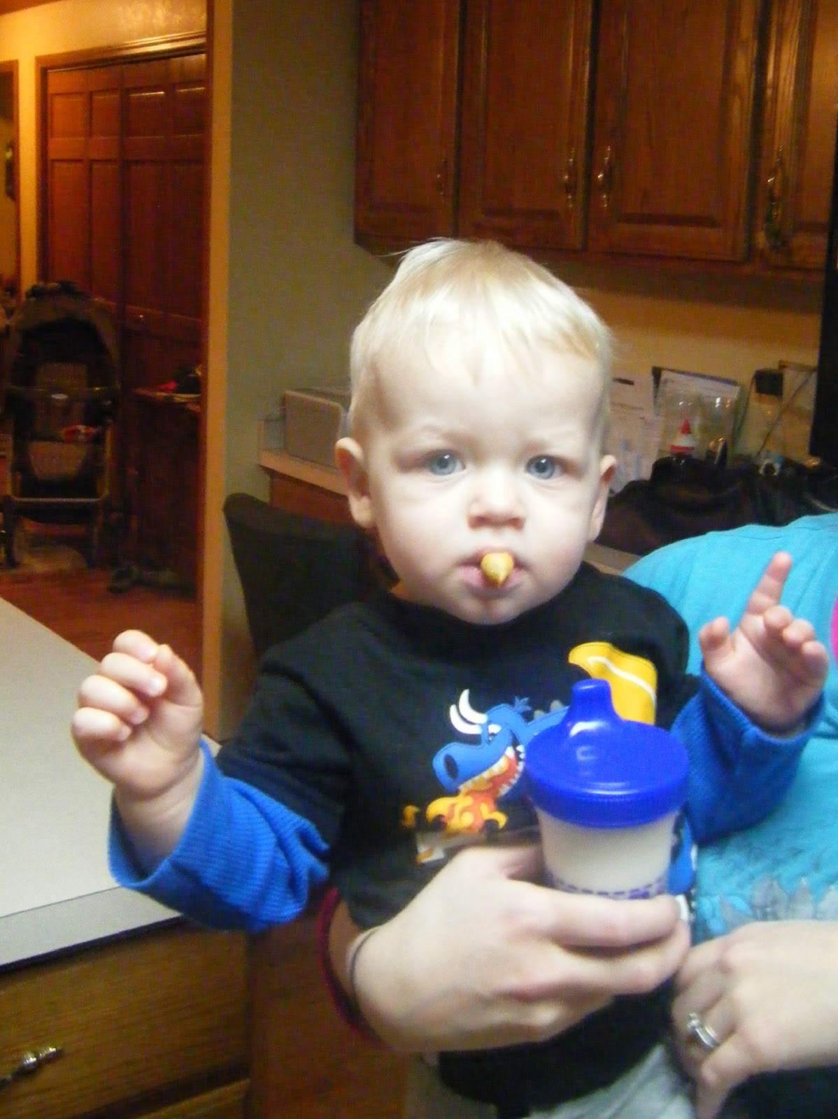 Kapora's Journey: Fried Candy Bars, Batter fried Chocolate Cheese, and ...