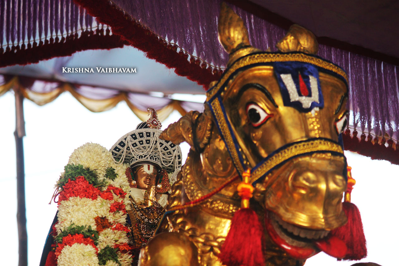 Krishna Vaibhavam: 06 Kuthirai Vahanam - Vellai Sattupadi Udaiyavar ...