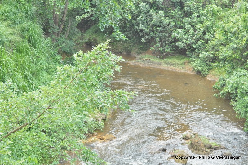 philipveerasingam: Wak oya, Kaluaggala, Sri Lanka.