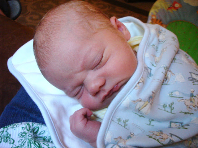 The Feathered Nest ~: One precious week old