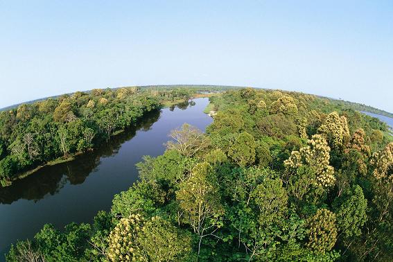 ALAM | Dunia Kita Bersama