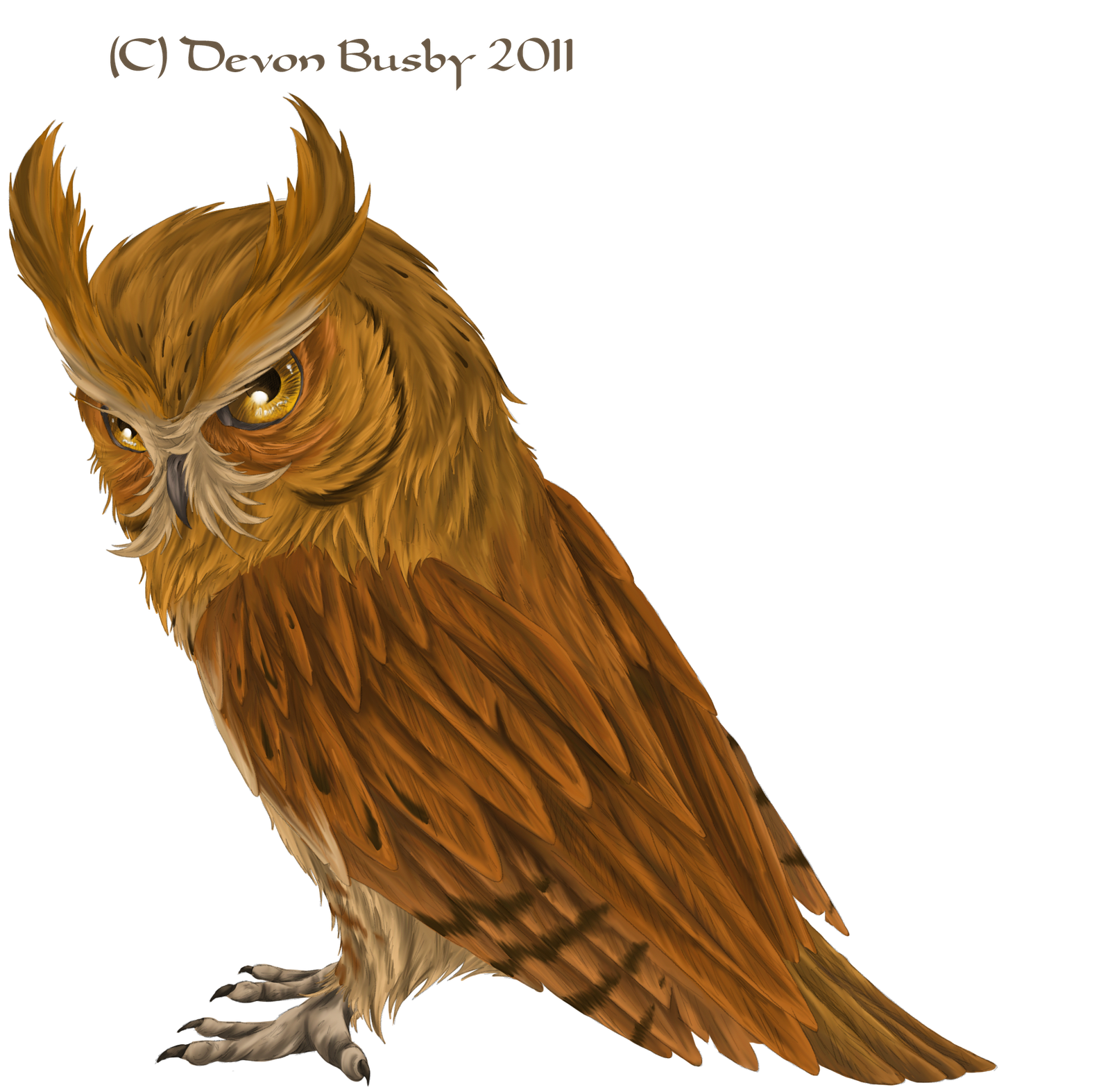 Busbyart: owl drawing