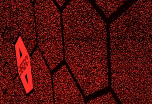 Invasión Gif: Evangelion PT.1