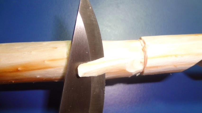 "Try Stick" ~ | Bushcraft Berg