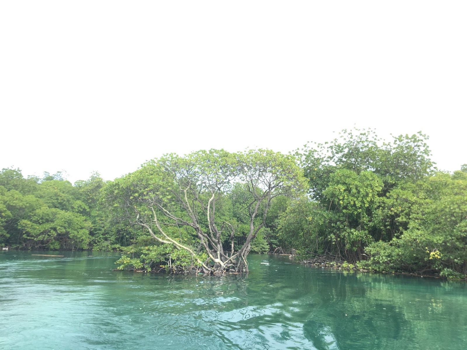 Surprisingly Mesmerizing Sangiang Island - Banten