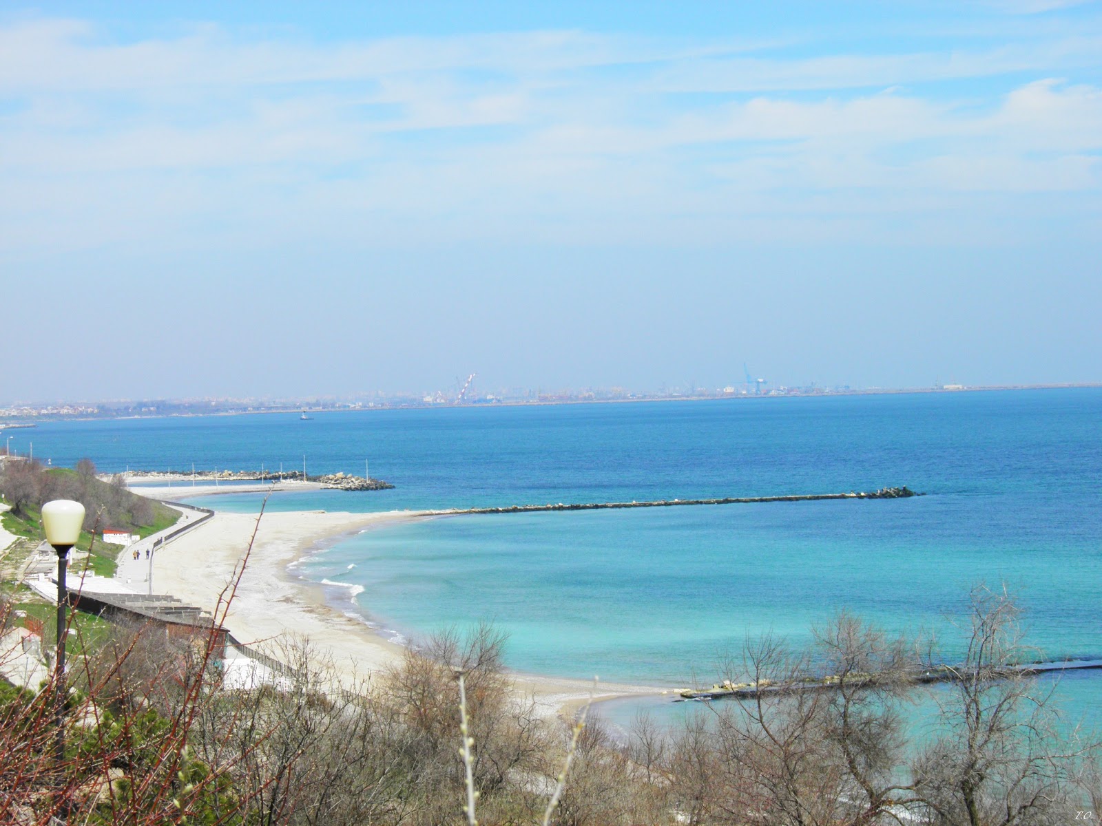 PASARI DIN ROMANIA: CODROS DE MUNTE (2), Phoenicurus ochruros