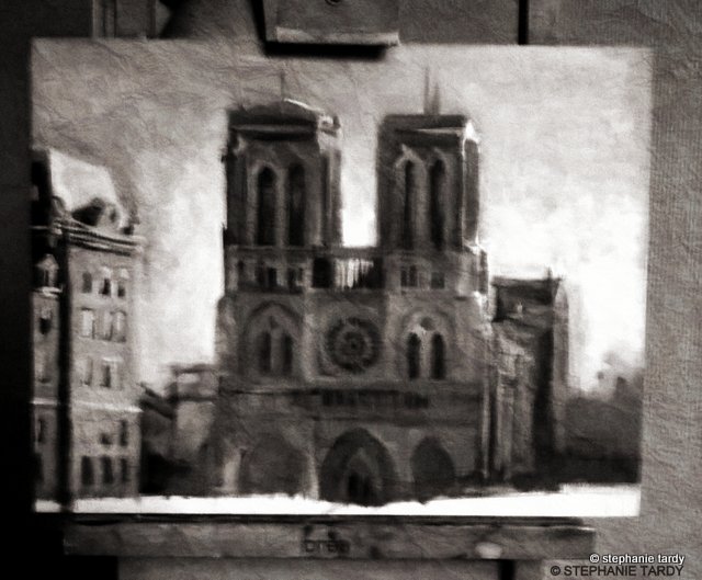 PHOTOGRAPHIES STEPHANIE TARDY