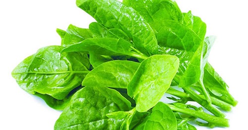Cara Memilih dan Menyimpan Bayam yang Benar Agar Segar Lebih Lama