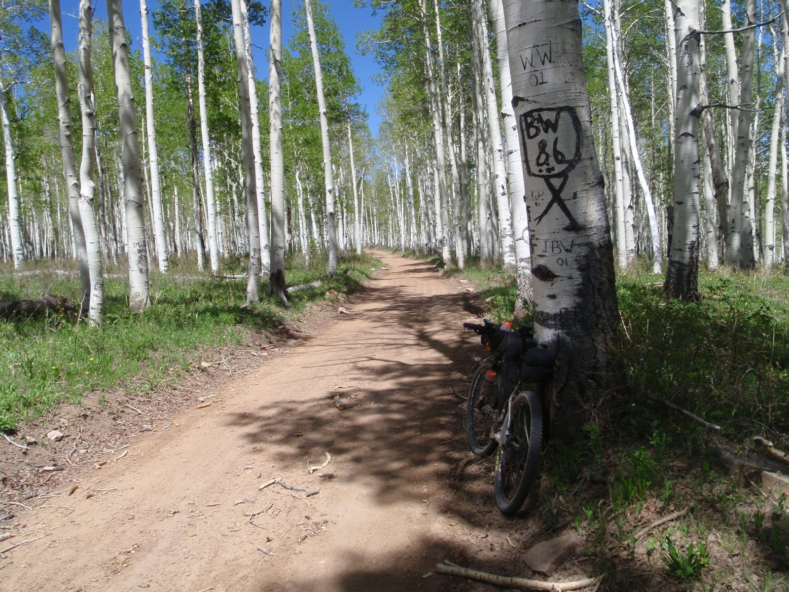 Zips Spot: A Grand-er Loop