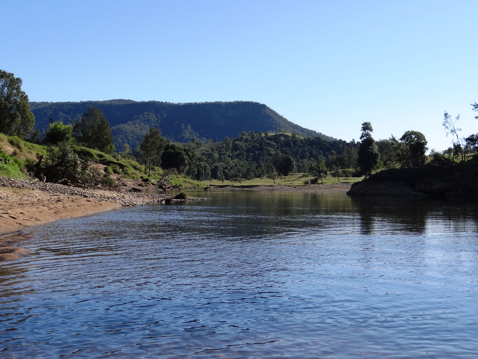 sunshinecoastbirds: Kayaking the Mary River