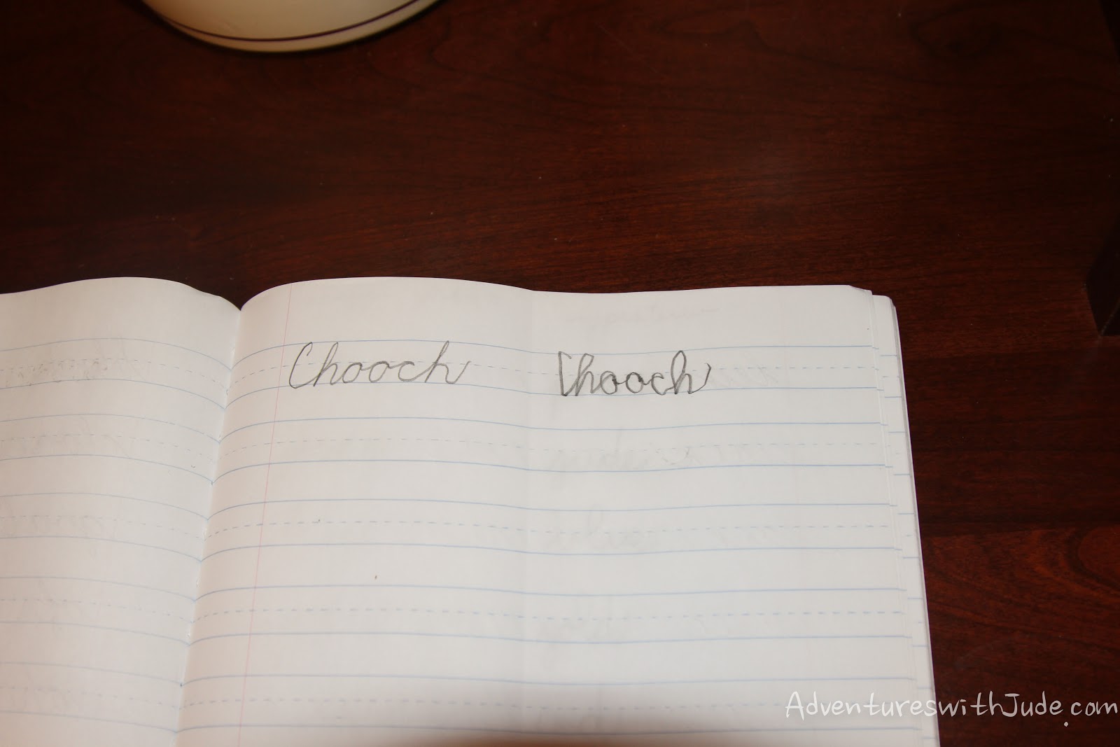 Adventures with Jude: Cursive Logic (A Schoolhouse Crew Review)