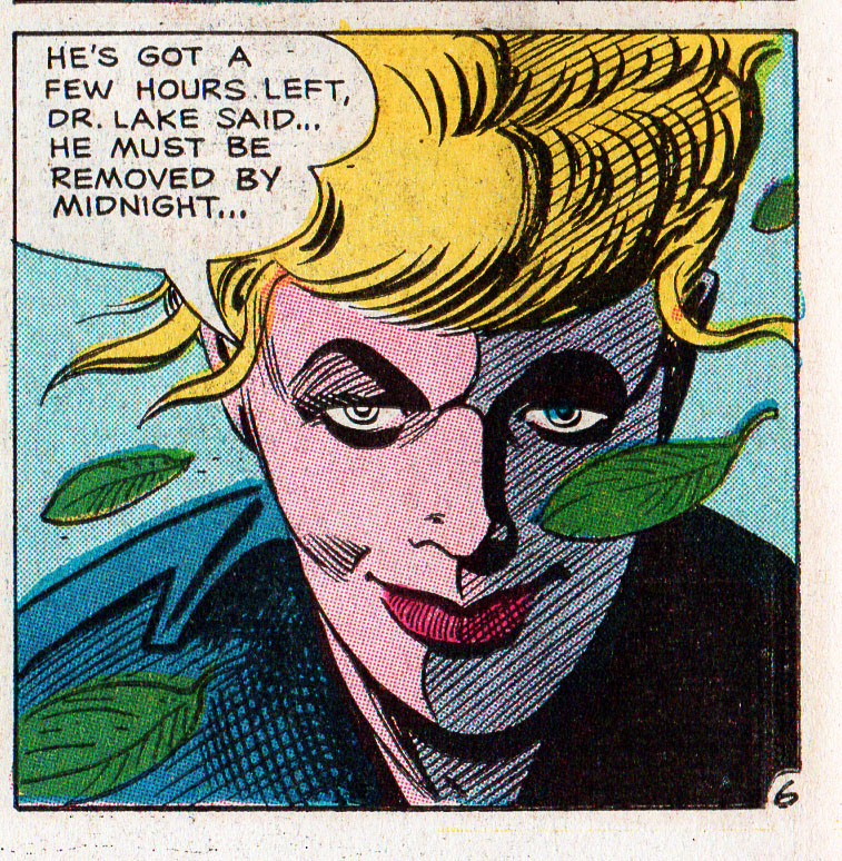 Marvel Mysteries and Comics Minutiae: Ditko at Charlton Part 2: 1972-1974