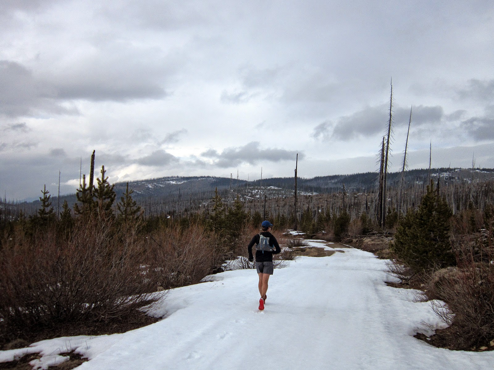 Seeking Ultra: Mad River-Sugarloaf Peak loop, southern Entiat Mountains