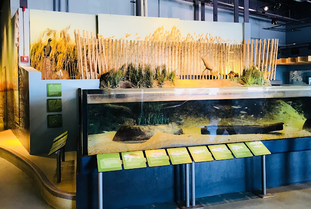 A Review of Liberty Science Center : What Age is Best for My Child to ...