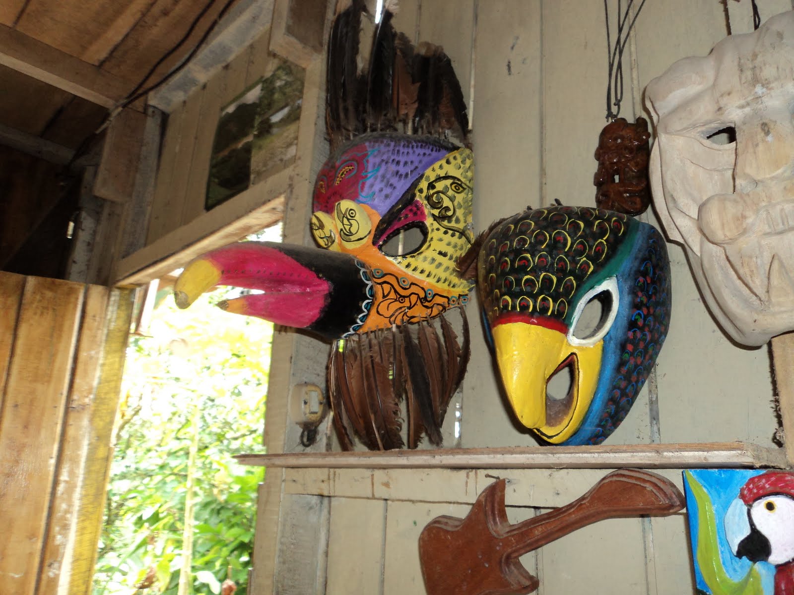 The Brainwash Times: Térraba