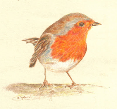 Zeichenstudio: August 2017