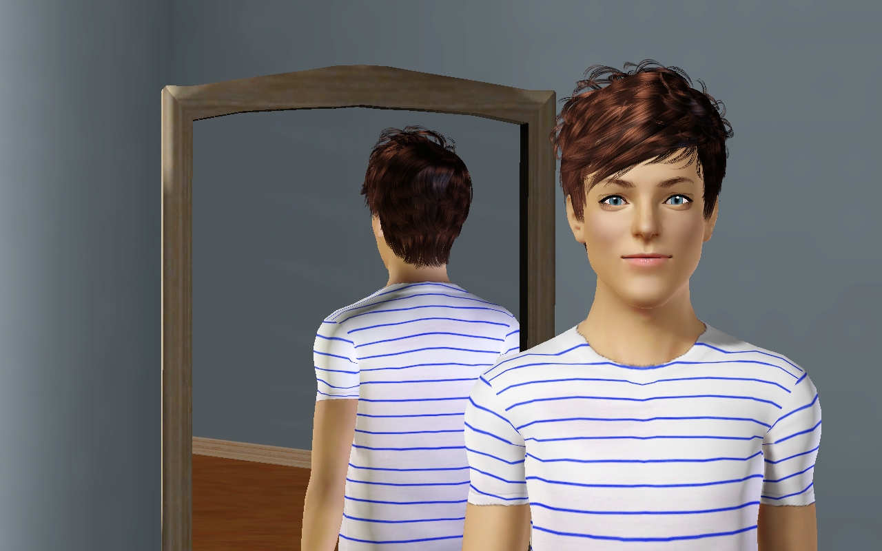 One Direction Sims 3 Project | nekohebi sims