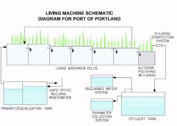 Sliver of Green: Living Machine case study: Port of Portland