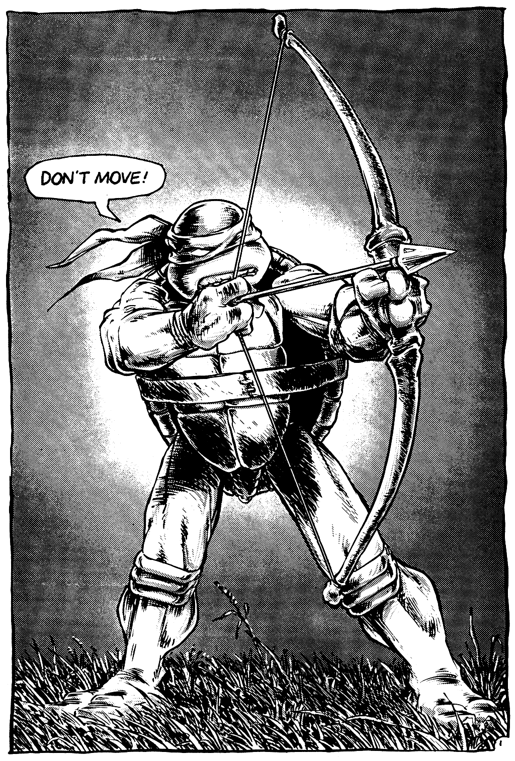 Teenage Mutant Ninja Turtles with bow and arrow