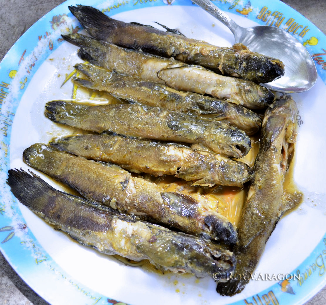 palileng ~ PINAKBET REPUBLIC