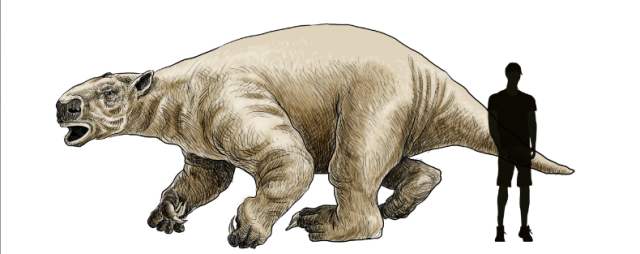 Paleontología en Colombia: 03/01/2014 - 04/01/2014