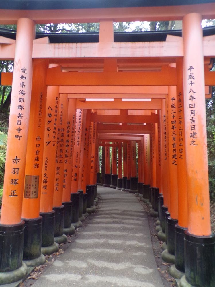 El mundo a tus pies: El Templo Fushimi Inari Taisha en Kioto